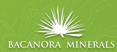 ProMineria.com tu fuente de información minera en México.